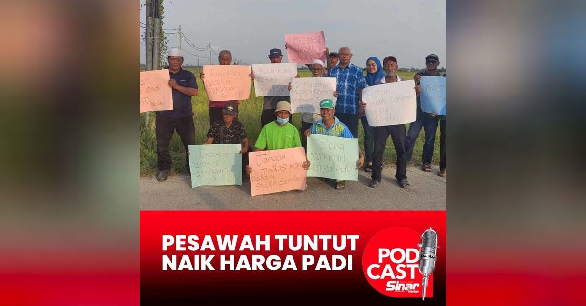 Pesawah tuntut kerajaan naik harga padi, pemutuan potongan rendah | Sinar Harian