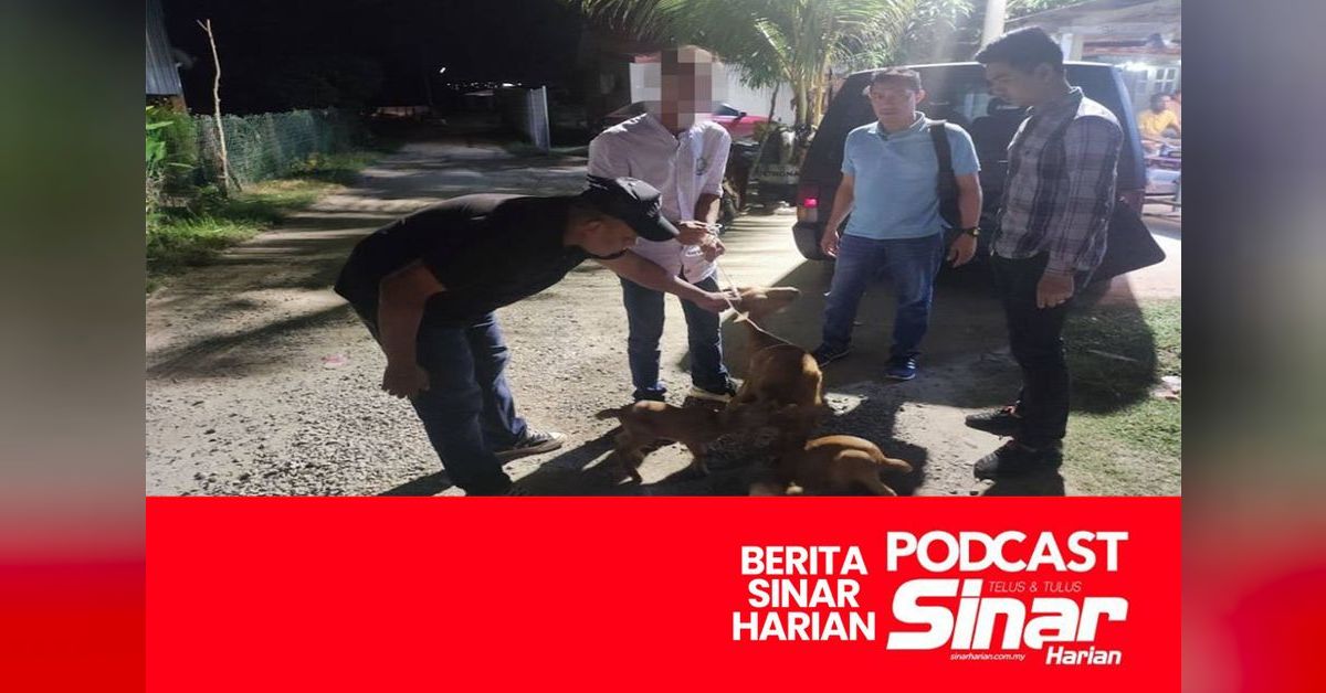 Curi tiga ekor kambing, sumbat dalam kereta I JENAYAH | Sinar Harian Curi tiga ekor kambing, sumbat dalam kereta I JENAYAH | Sinar Harian