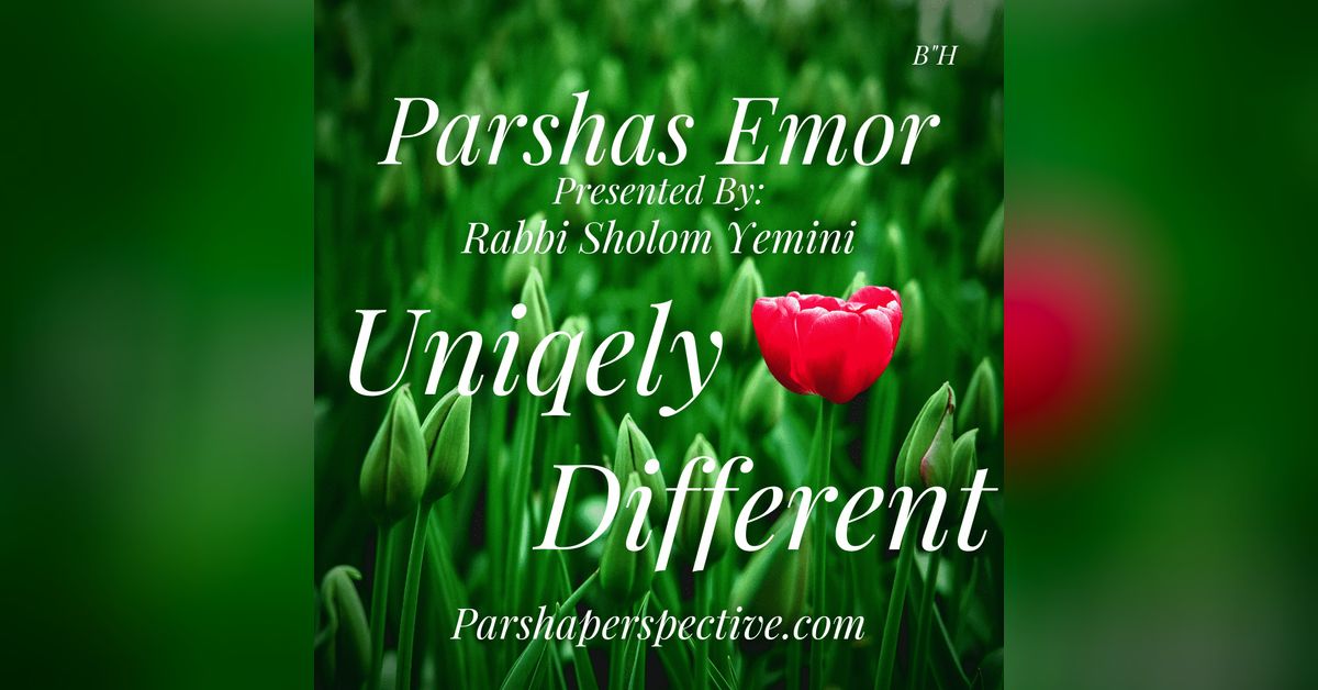 Parshas Emor, uniquely different | The Parsha Perspective