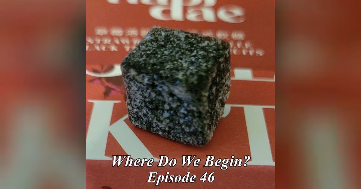 Where Do We Begin Episode #46: Treats Enjoyer First Class | RTVS Podcasts