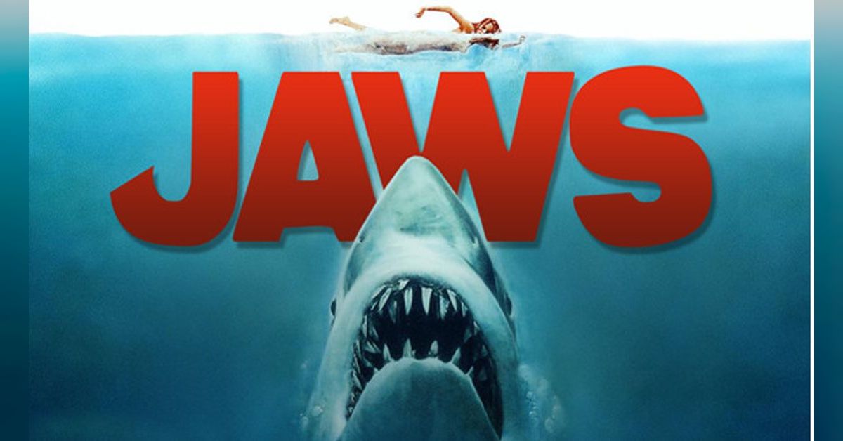 The "Jaws" Franchise And NOT Shark Fin Soup | Horror Movie Franchises
