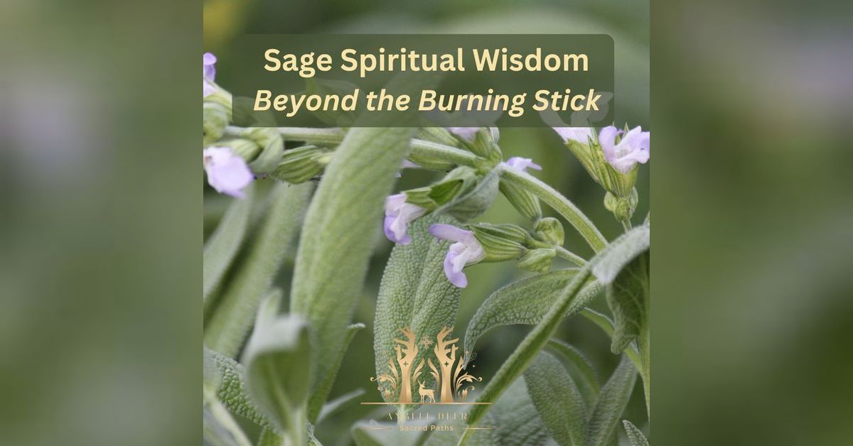 Sage Spiritual Wisdom, Beyond the Burning Stick | Sacred Paths with ...
