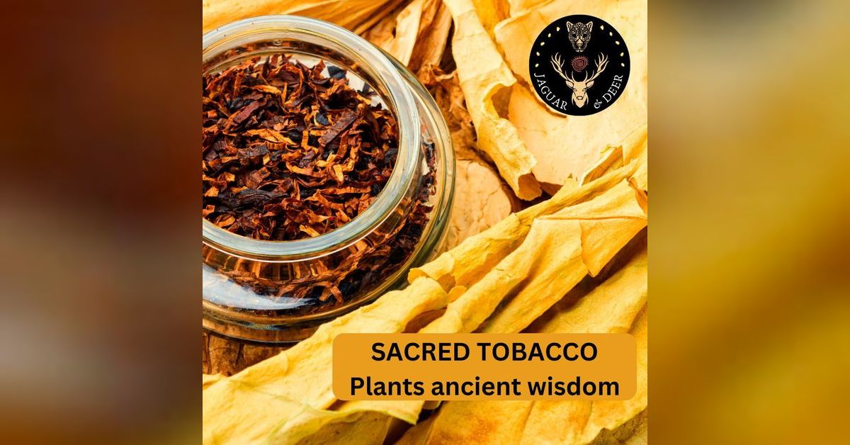 Sacred Tobacco: Ancient Plant Wisdom | Sacred Paths with Angell Deer