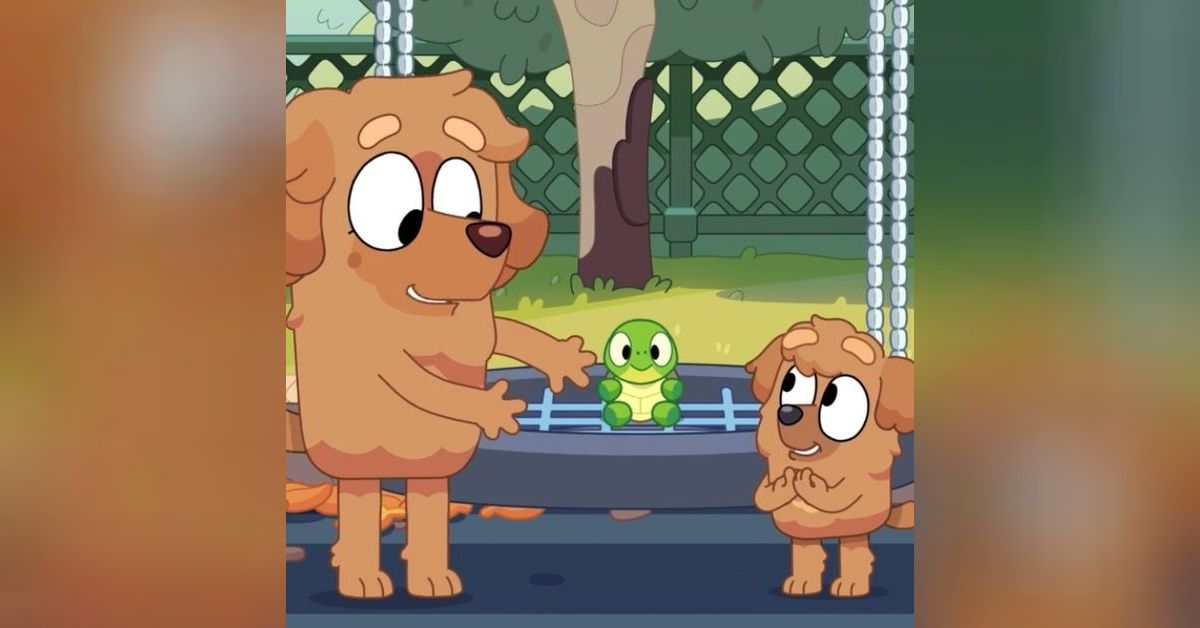 Turtle Boy (aka Kids TV Dichotomy of Preachy or Mindless Violence ...