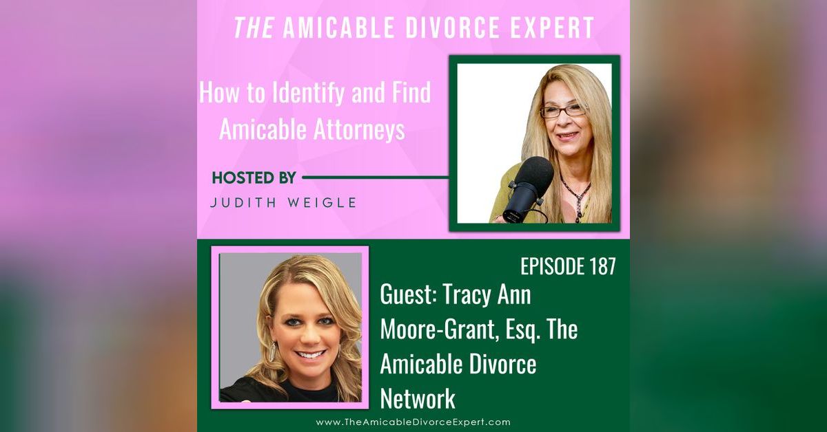 amicable divorce network