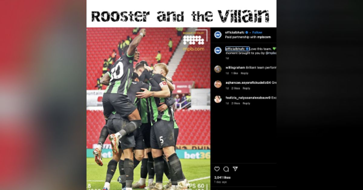 Prem Show: Flock of Stateside Seagulls with Paul Dorsey | Rooster and ...