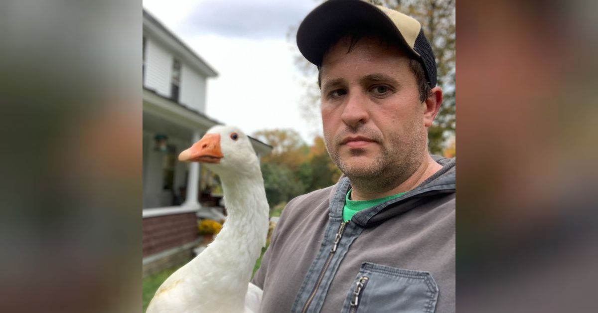 The Gold Shaw Farm Goose Harvest | The Gold Shaw Farm Podcast