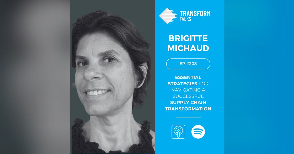 #208 - Brigitte Michaud's Essential Strategies for Navigating a ...