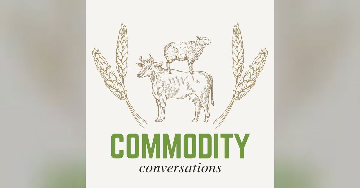 #5 The taste of fake meat and its potential impact | Commodity ...