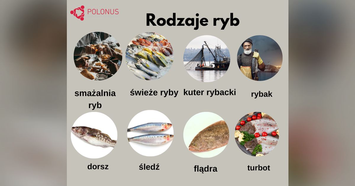 #368 Types of Fish - Rodzaje ryb | Learn Polish Podcast