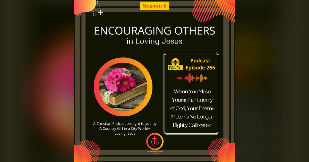 Ep. 265: When You Make Yourself an Enemy of God, Your Enemy Meter Is No ...