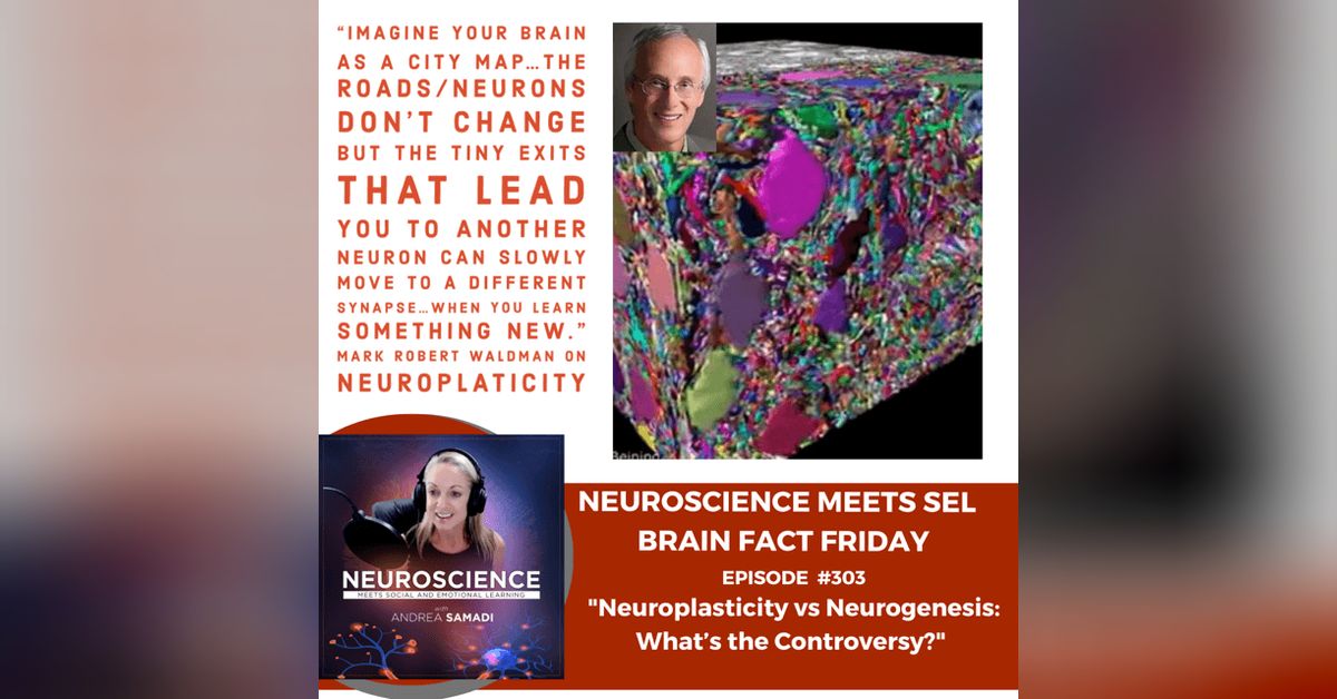 Brain Fact Friday on ”Neuroplasticity vs Neurogenesis: Where’s the ...