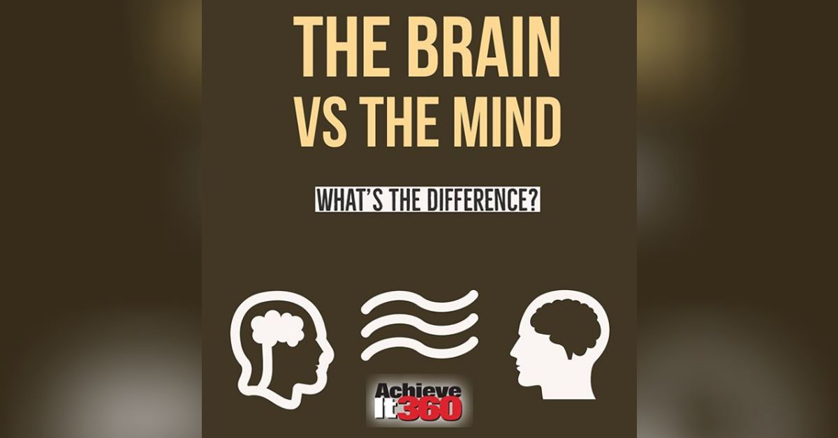Understanding the Difference Between Your Mind and Brain | Neuroscience ...