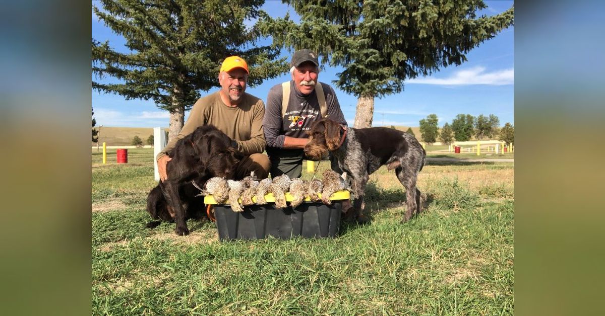 Two bird hunting friends talk wild chukars and quail, public access ...