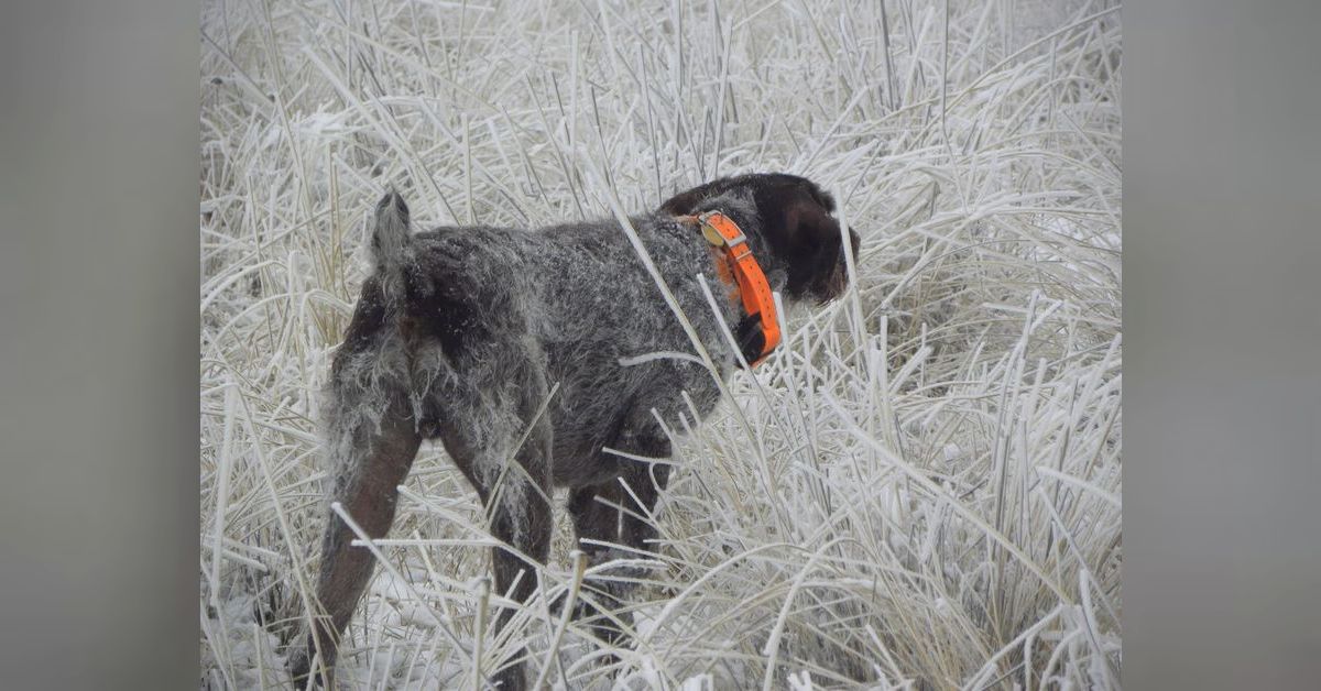 What YOU think, want to know, what you do and why ... | Upland Nation