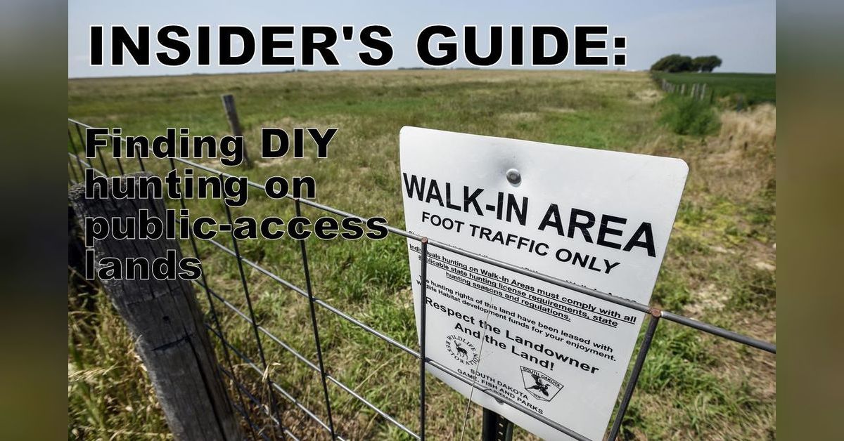 Bird hunting public-access ground: 30 years of hard-won lessons on ...