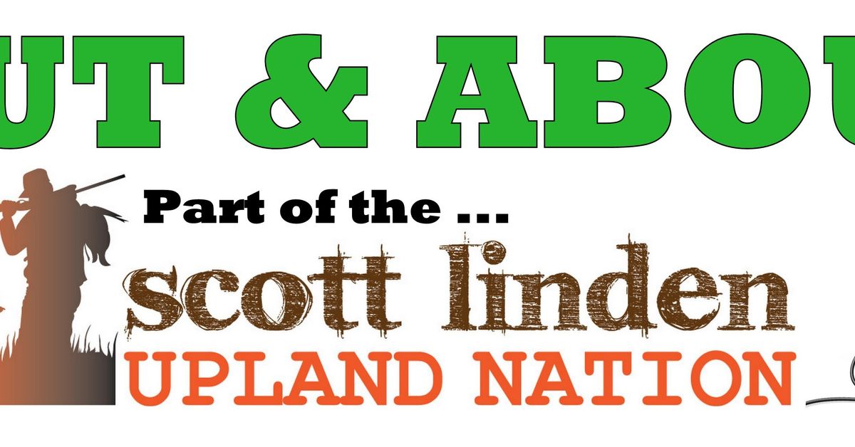 Sample: Out & About short feature | Upland Nation