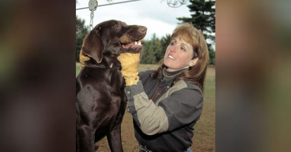 Bird dog podcast: pro trainer Sharon Potter on what really matters, and ...