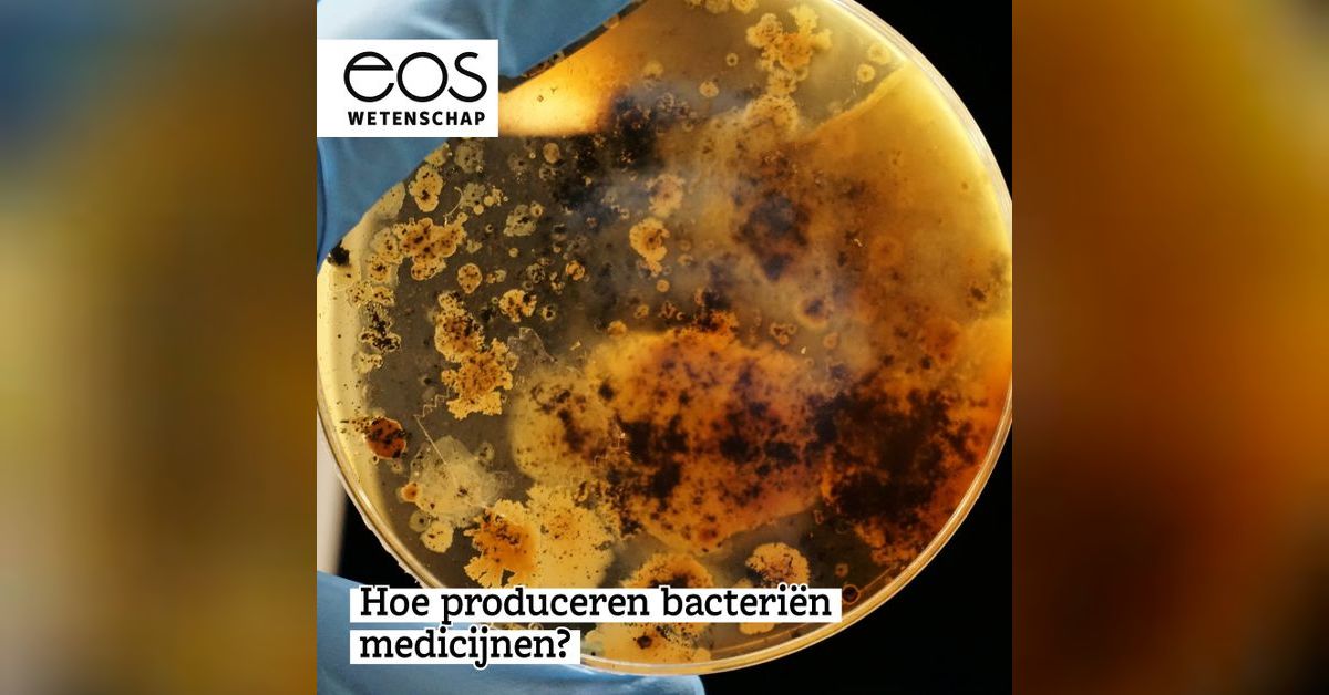 Hoe produceren bacteriën medicijnen? - Vraag Het Aan | Eos Wetenschap