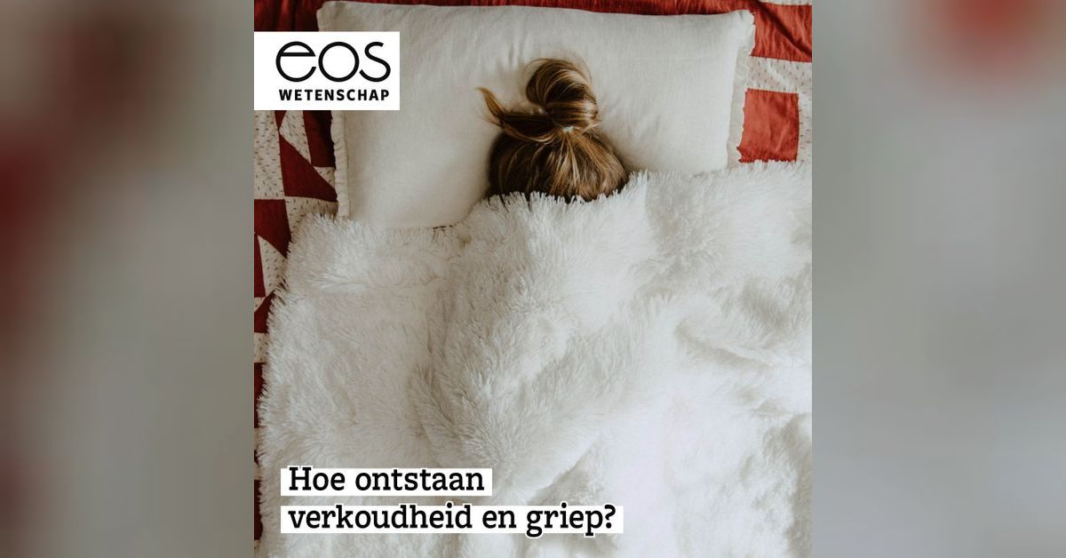 Hoe ontstaan verkoudheid en griep? - Vraag Het Aan | Eos Wetenschap