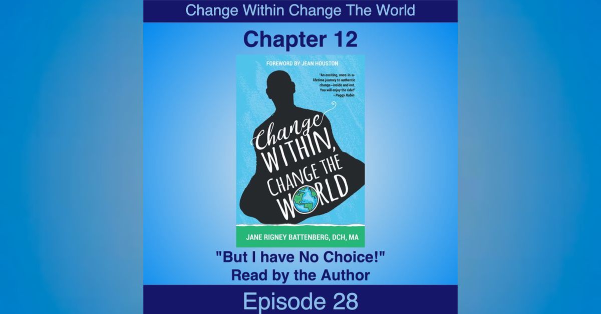 28 Author-read Chapter 12, But I Have No Choice! | Change Within
