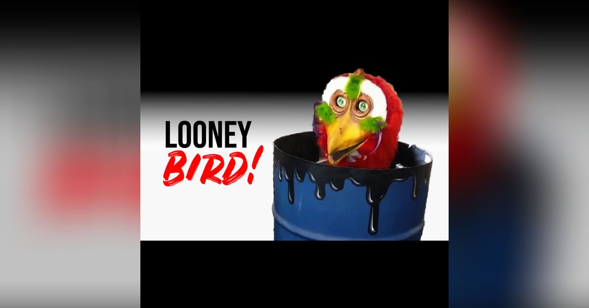 I Repaired a Looney Bird Animatronic… BIG Mistake | Freaky Attractions