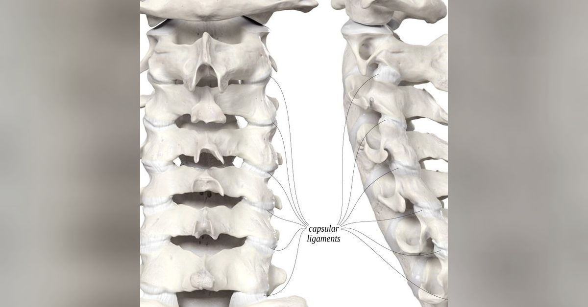 104: The Many (Cervical) Facets of Neck Pain (with Til Luchau & Whitney ...