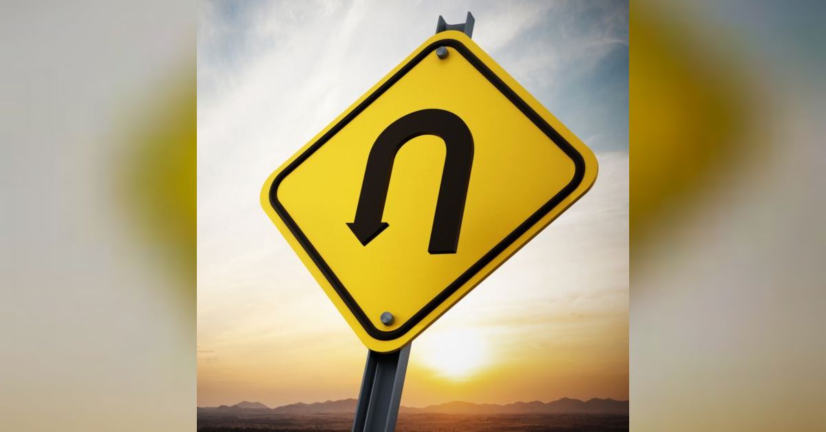 63: Turnabout is Fair Play: Our Favorite Perspective Reversals | The ...