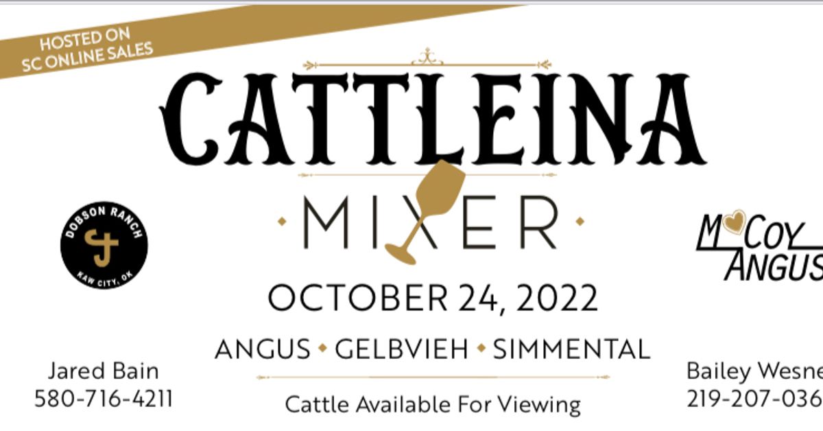Cattleina Mixer with Dobson Ranch and McCoy Angus | Before the Bid