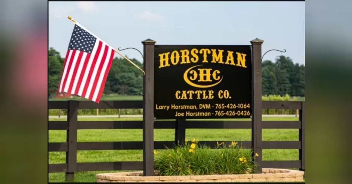 Horstman Cattle Comapny - Factory Direct 2022 | Before the Bid