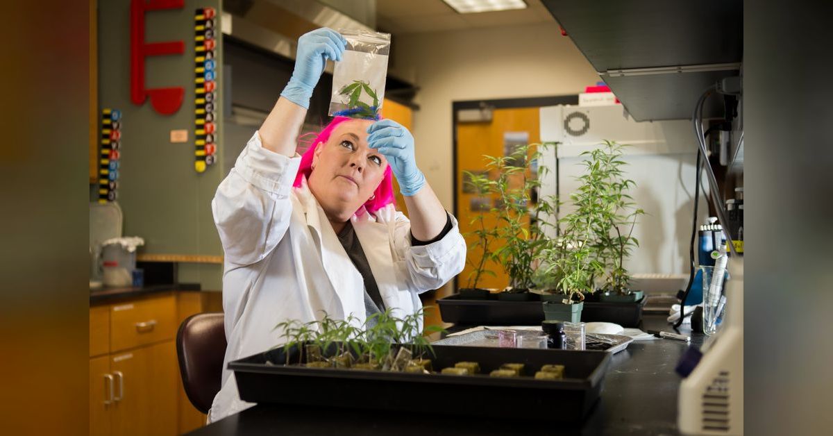 #14 Can you Smell the True Blue Dream? with Dr. Anna Schwabe ...