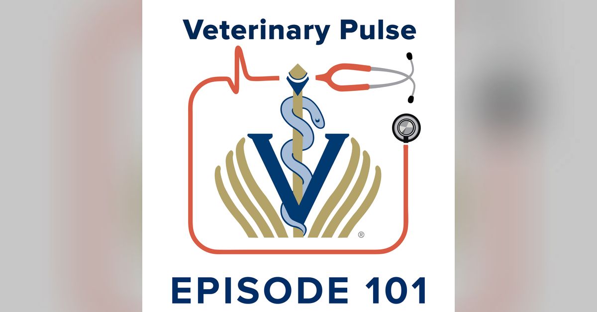 Vets4Vets® - You are not alone, peer-to-peer support in the age of ...