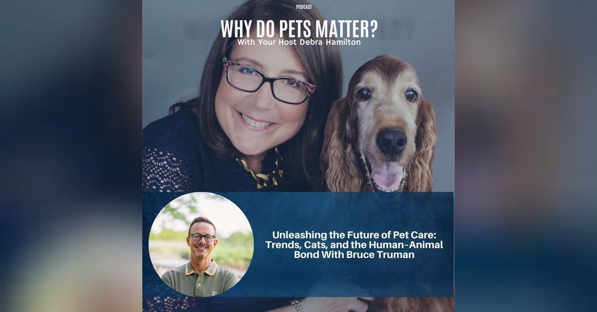 Unleashing the Future of Pet Care: Trends, Cats, and the Human–Animal ...