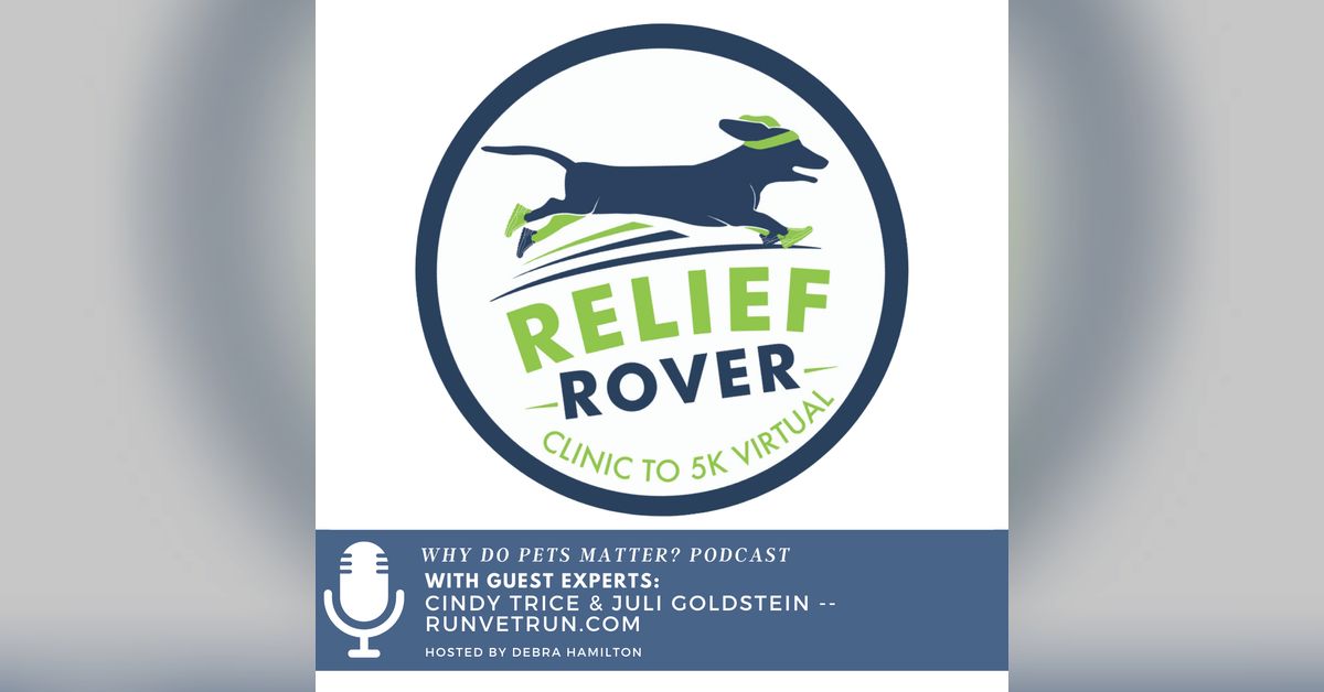 Clinic To 5K -- RunVetRun.com with Dr. Cindy Trice and Dr. Juli ...