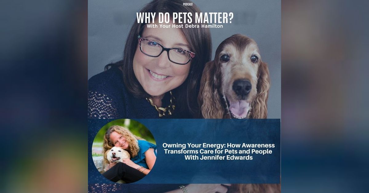 Owning Your Energy: How Awareness Transforms Care for Pets and People ...
