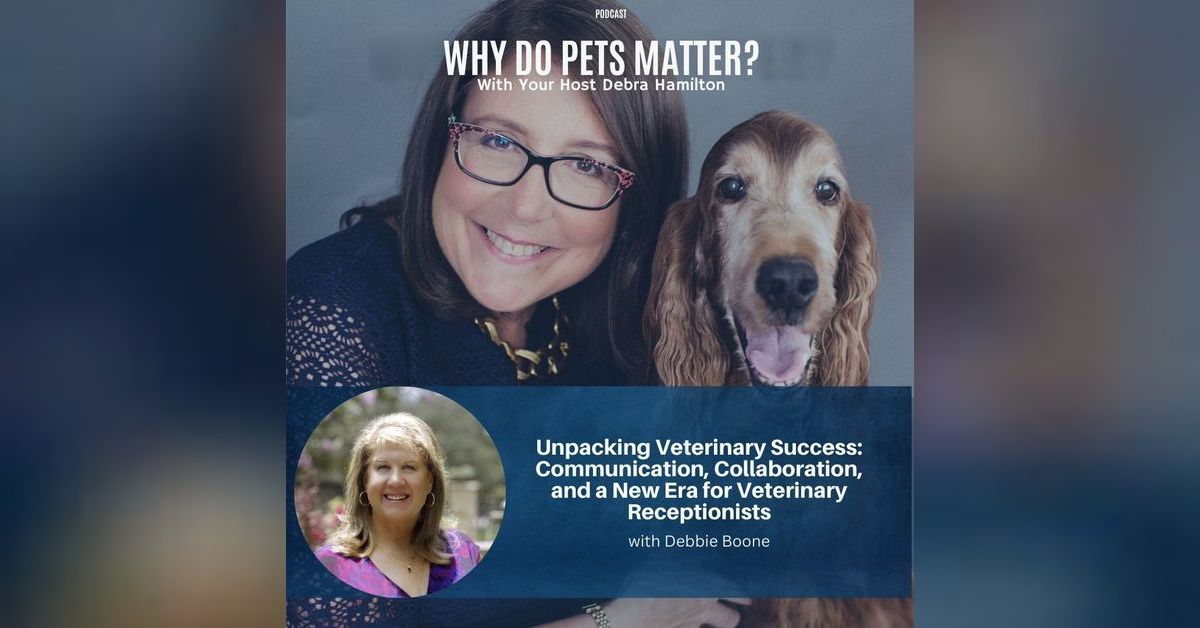 Unpacking Veterinary Success with Debbie Boone: Communication ...