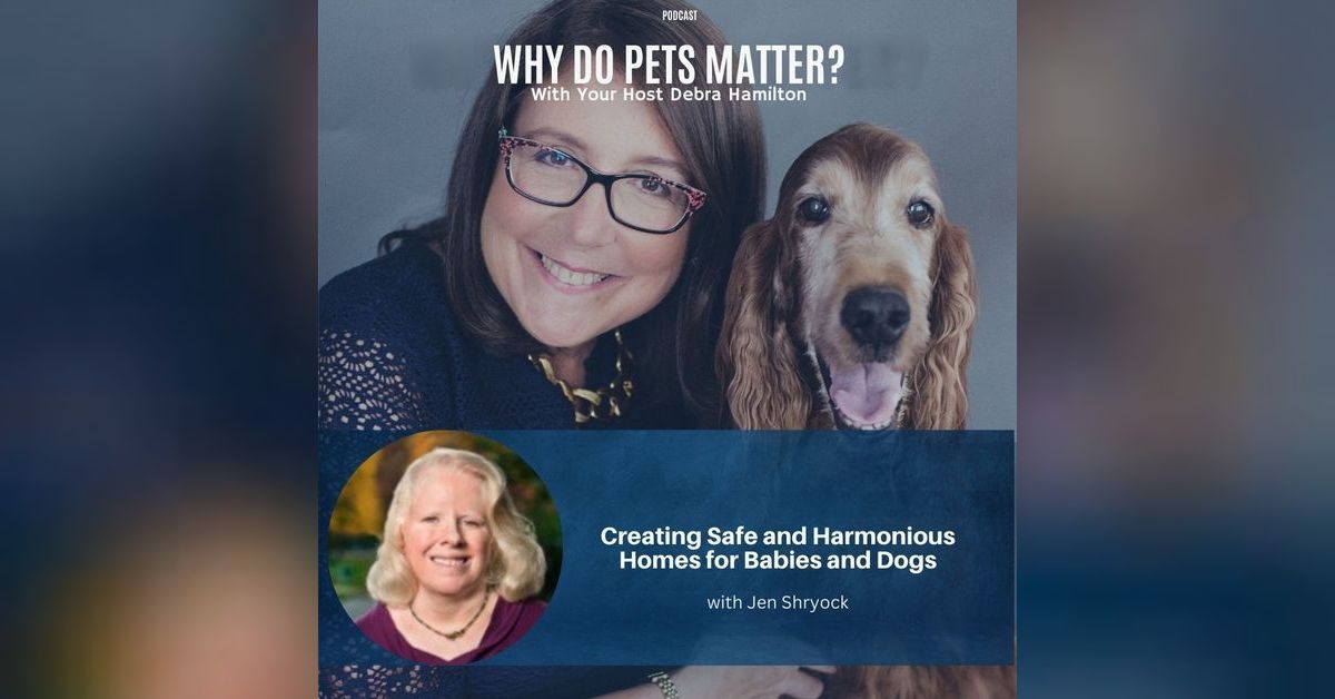 Creating Safe and Harmonious Homes for Babies and Dogs With Jen Shryock ...