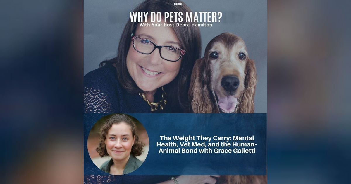 The Weight They Carry: Mental Health, Vet Med, and the Human–Animal ...