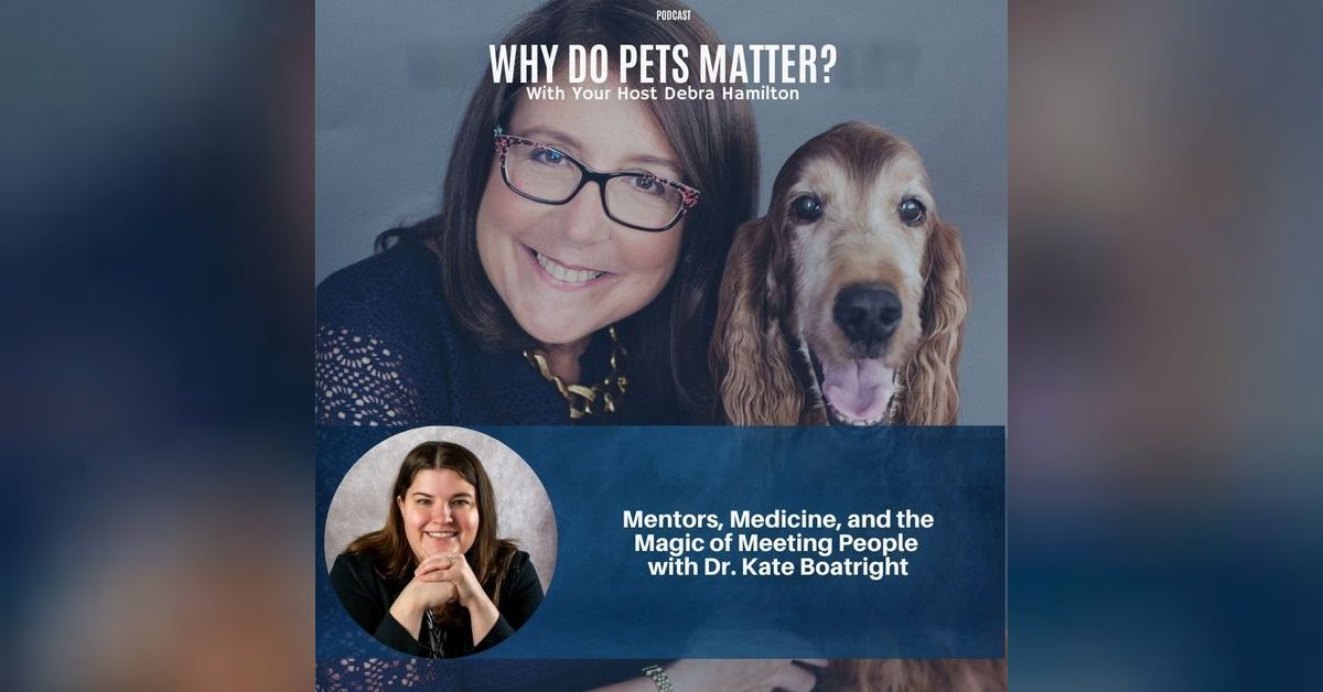 Mentors, Medicine, and the Magic of Meeting People With Dr. Kate Boatright | Why Do Pets Matter ...