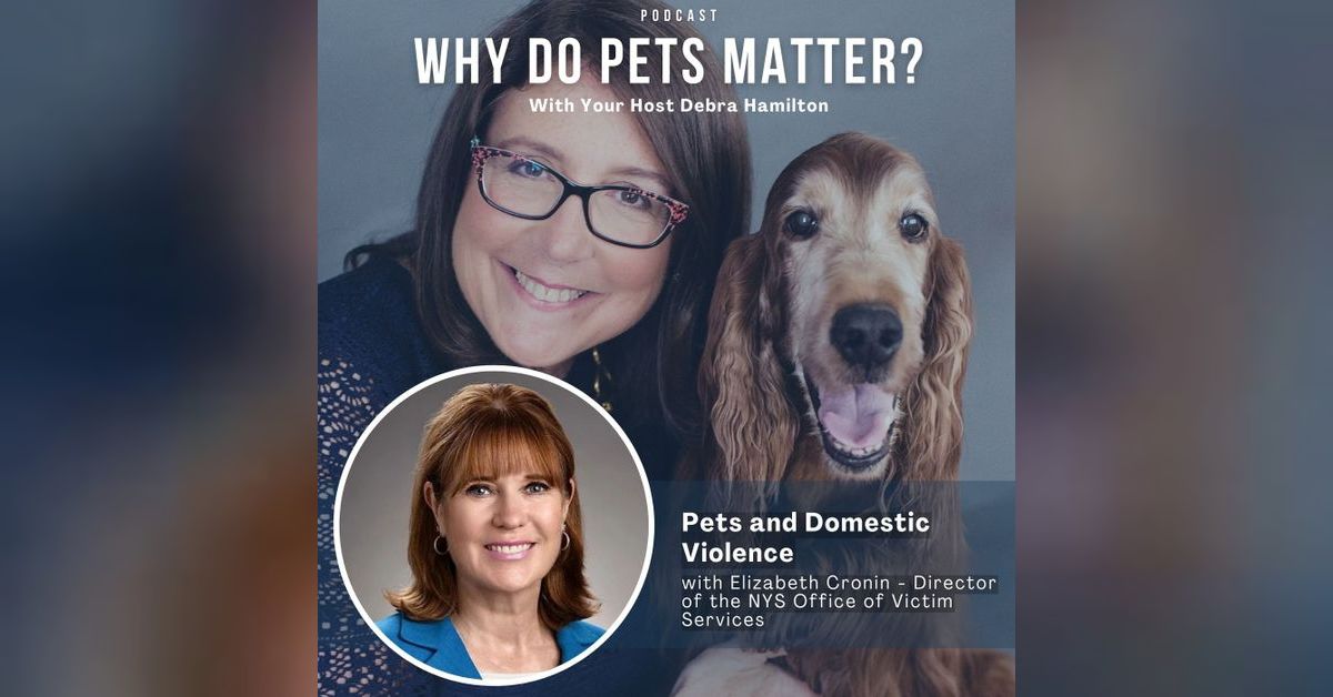 Elizabeth Cronin - Pets and Domestic Violence on ”why Do Pets Matter ...