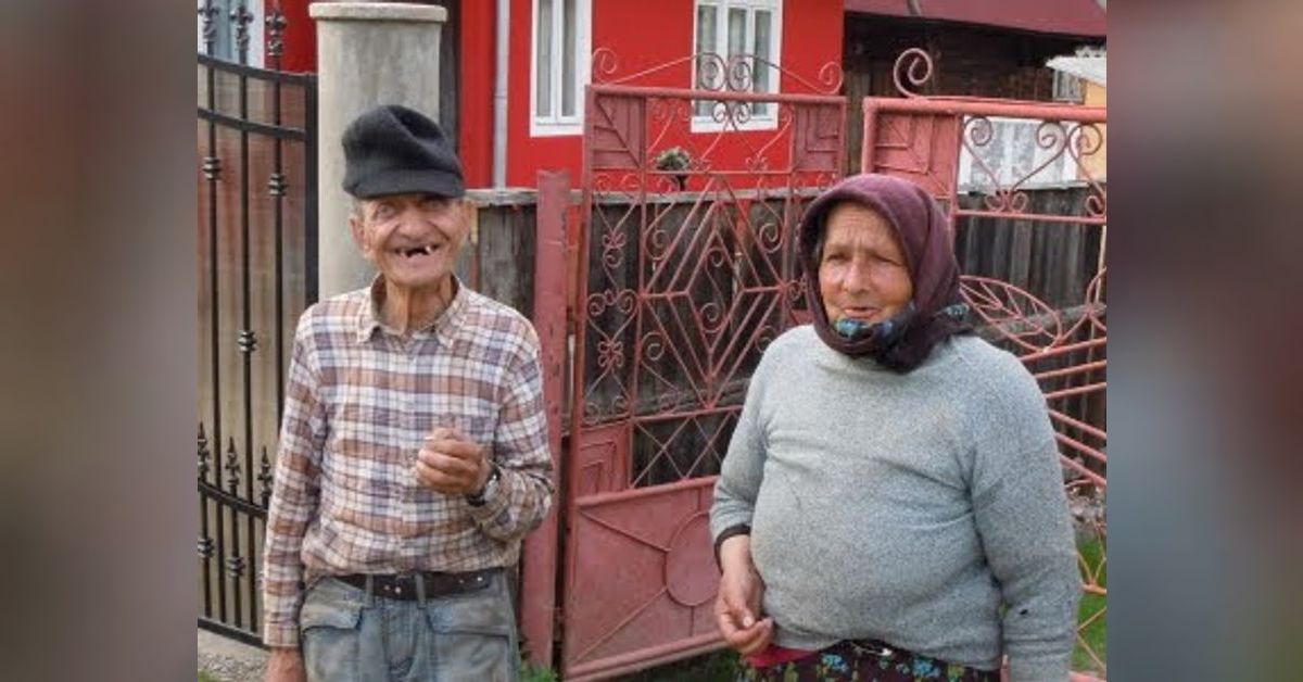 Handshakes, Gypsies, Teeth and Boners | The Dutch Hall with Pete Van Dyk