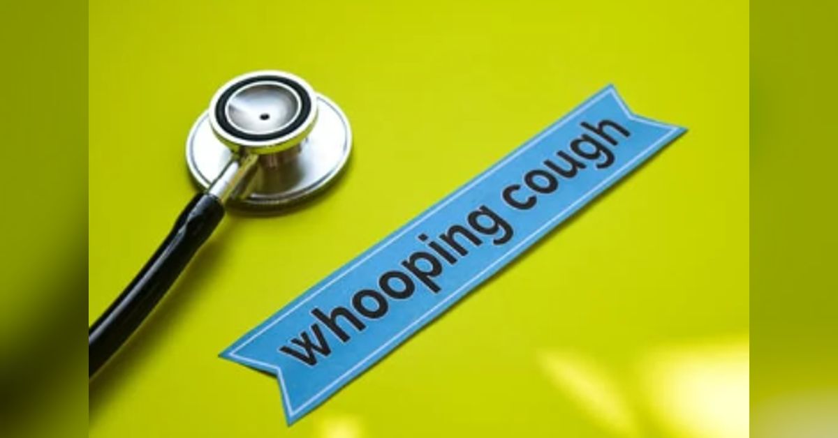 Pertussis (Whooping Cough) in Primary Care | Wessex LMCs Podcasts