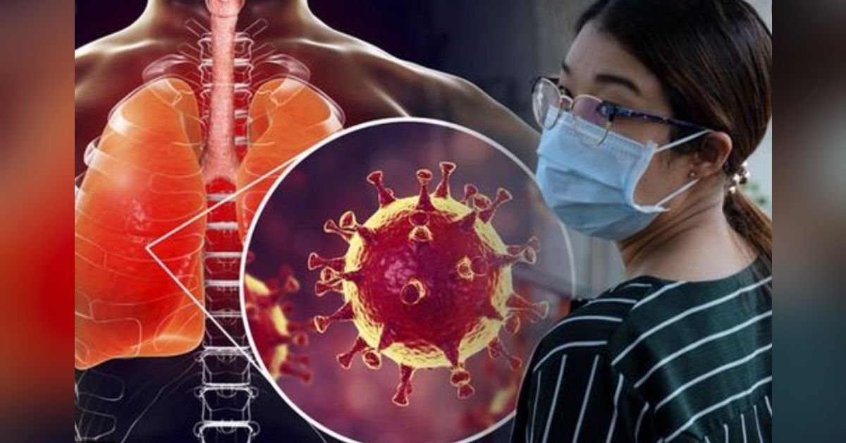 Modern Day Viruses and How They Spread, Different Types & What We ...