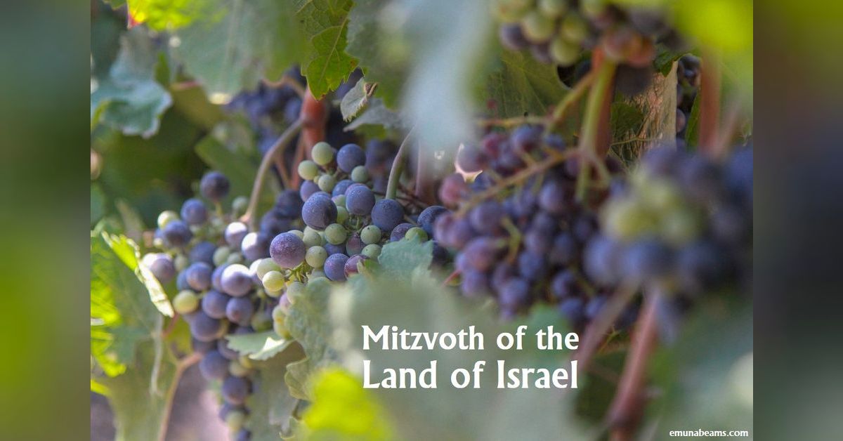 The Mitzvoth of the Land of Israel | Emuna Beams