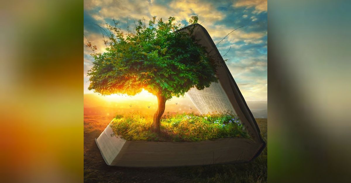 Beyond Nature: Likutei Moharan I: Torah 7, Part 1 | Emuna Beams
