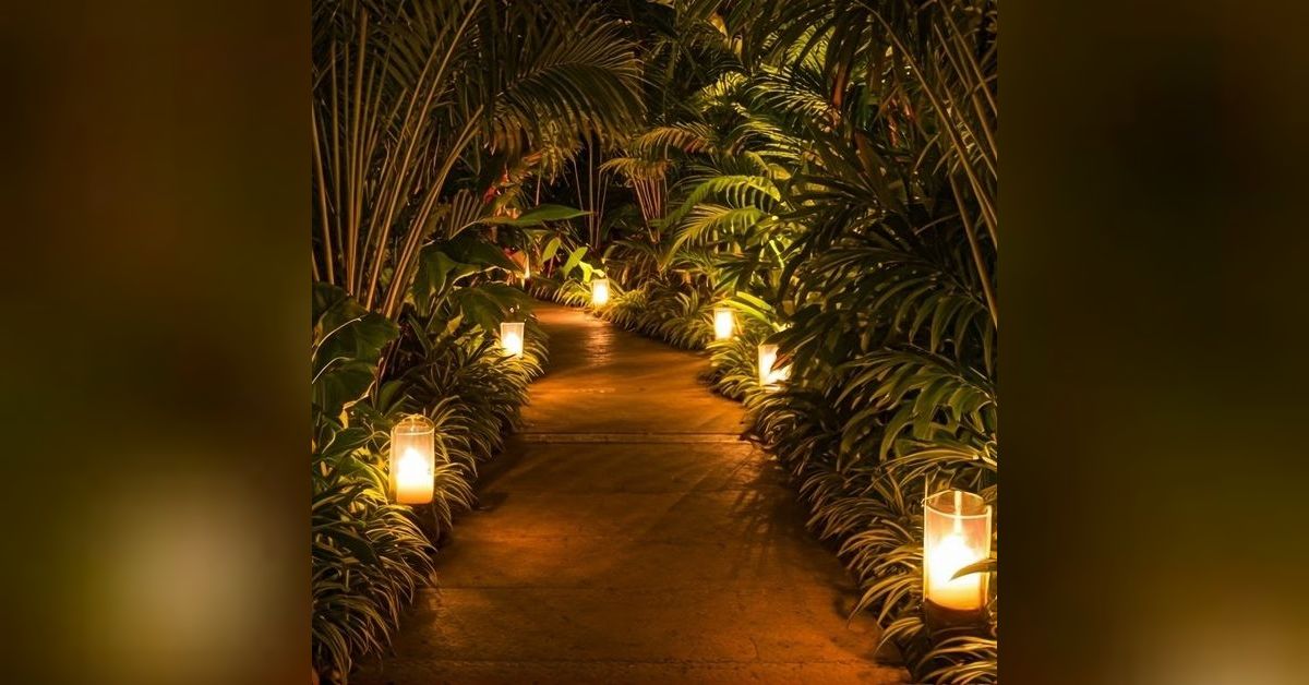 Candles at My Feet: Psalm 119, Part 3 | Emuna Beams