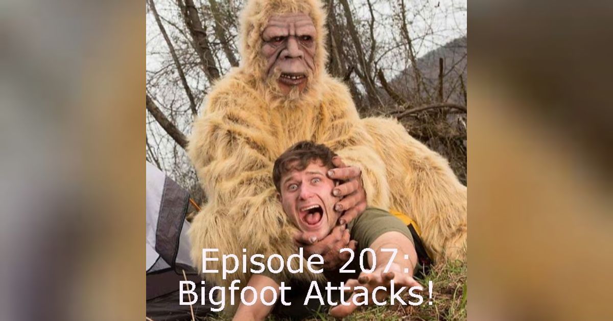 Episode 207: Bigfoot Attacks! | The Odd To Newfoundland Paranormal Podcast