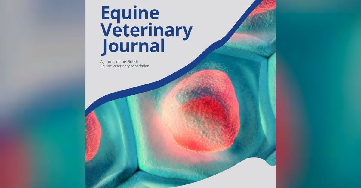 EVJ in Conversation Podcast, No. 85, February 2025, Kate Allen & Hilary ...