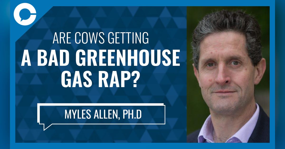 Are cows getting a bad GHG rap? - Professor Myles Allen, PhD ...