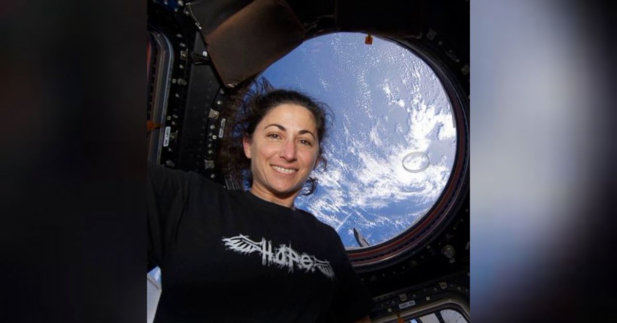 Nicole Stott - Artist, Astronaut. | The Cosmic Shed